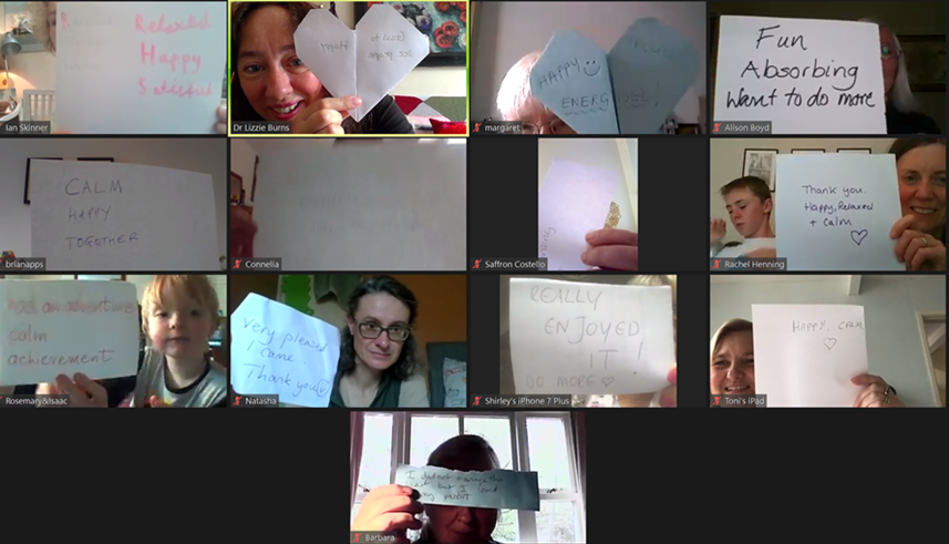 Evidence – Origami Pulse CIC