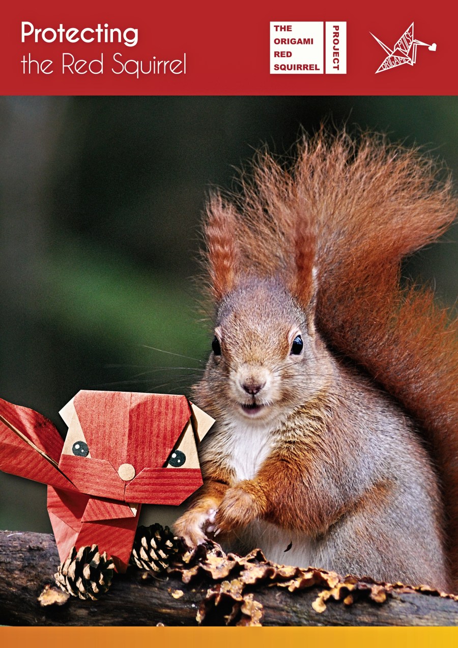 Resources – Origami Pulse CIC